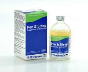 Pen & Strep Injection 100ml, POM-V (fridge) - Farm Vet Supplies