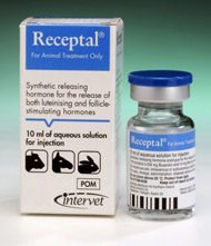 Receptal 10ml, POM-V - Farm Vet Supplies