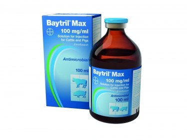 Baytril Max 100mg/ml Injection for cattle & pigs 100ml, POM-V - Farm ...