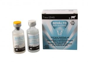 Bovalto Respi Intranasal, POM-V (Fridge) - Farm Vet Supplies