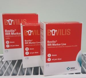 Bovilis IBR Marker LIVE(with applicators), POM-V (Fridge) - Farm Vet Supplies