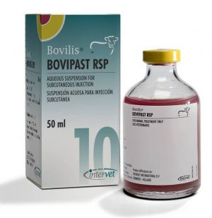 Bovipast RSP 10 dose, POM-V (Fridge) - Farm Vet Supplies