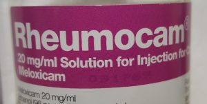 Rheumocam 20mg/ml Sol for Injection, POM-V Cattle, Pigs & Horses - Farm ...