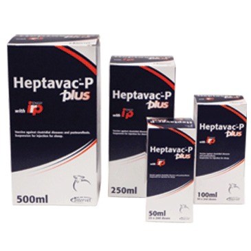 Heptavac P Plus, POM-VPS (Fridge) - Farm Vet Supplies
