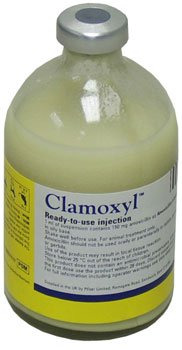 Clamoxyl RTU injection, POM-V - Farm Vet Supplies