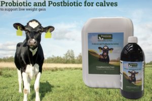 Precision Microbes Range - Calves - Farm Vet Supplies