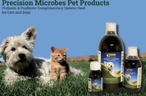 Precision Microbes Range - Cats & Dogs ( NI/ROI customers only) - Farm ...