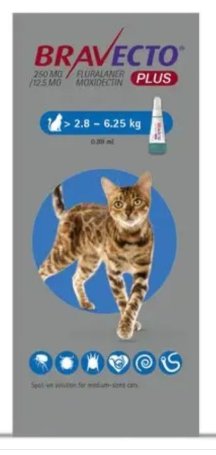 Bravecto PLUS Spot On for Cats. 1 dose POM-V - Farm Vet Supplies