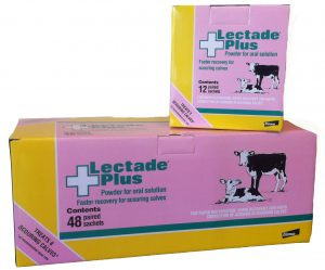 Lectade plus pack 48, AVM-GSL - Farm Vet Supplies