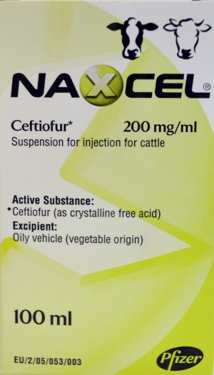 Naxcel 200mg/ml 100ml Cattle, POM-V - Farm Vet Supplies